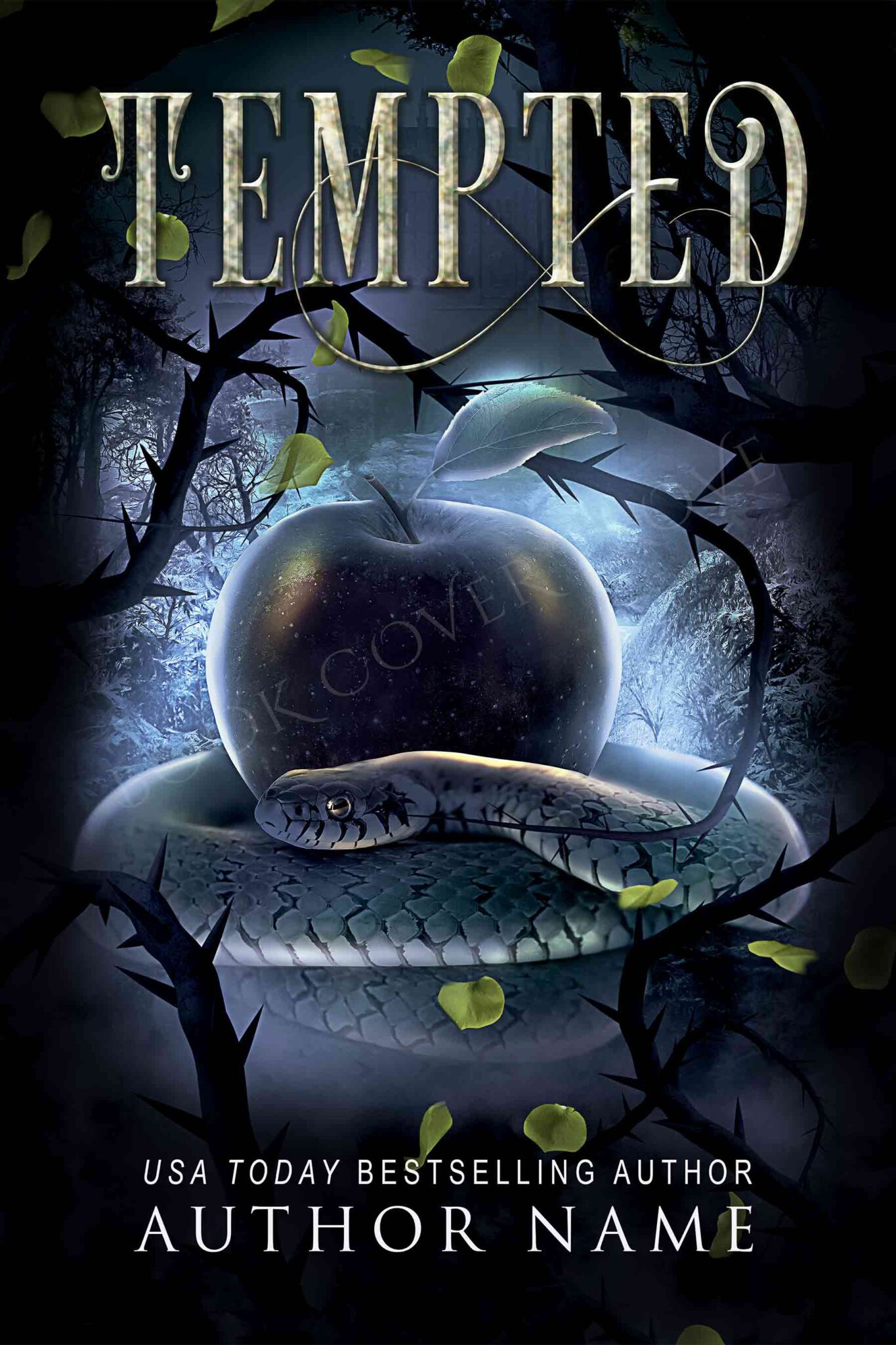 Book Cover Trove – Your one-stop shop for magical designs!